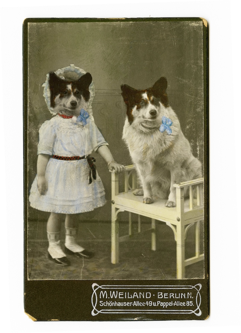 Besucher in Deutchland - visitors in germany - Charlotte Cory